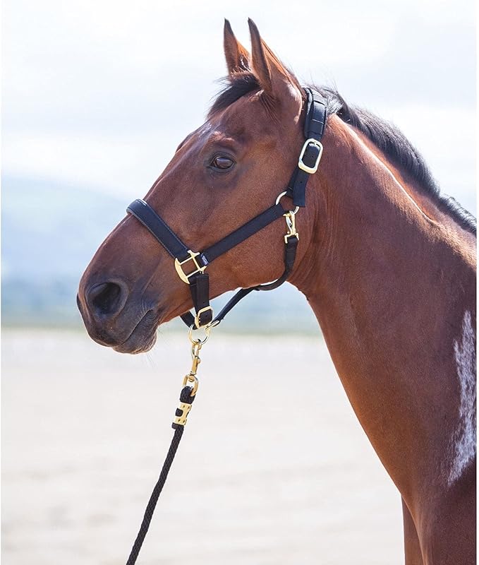 Shires Topaz Nylon Pony/Horse Headcollar - Black : Amazon.co.uk: Pet ...
