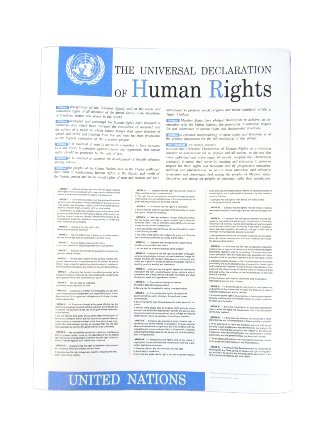 Amazon.com: Universal Declaration of Human Rights Replica - Poster Art ...