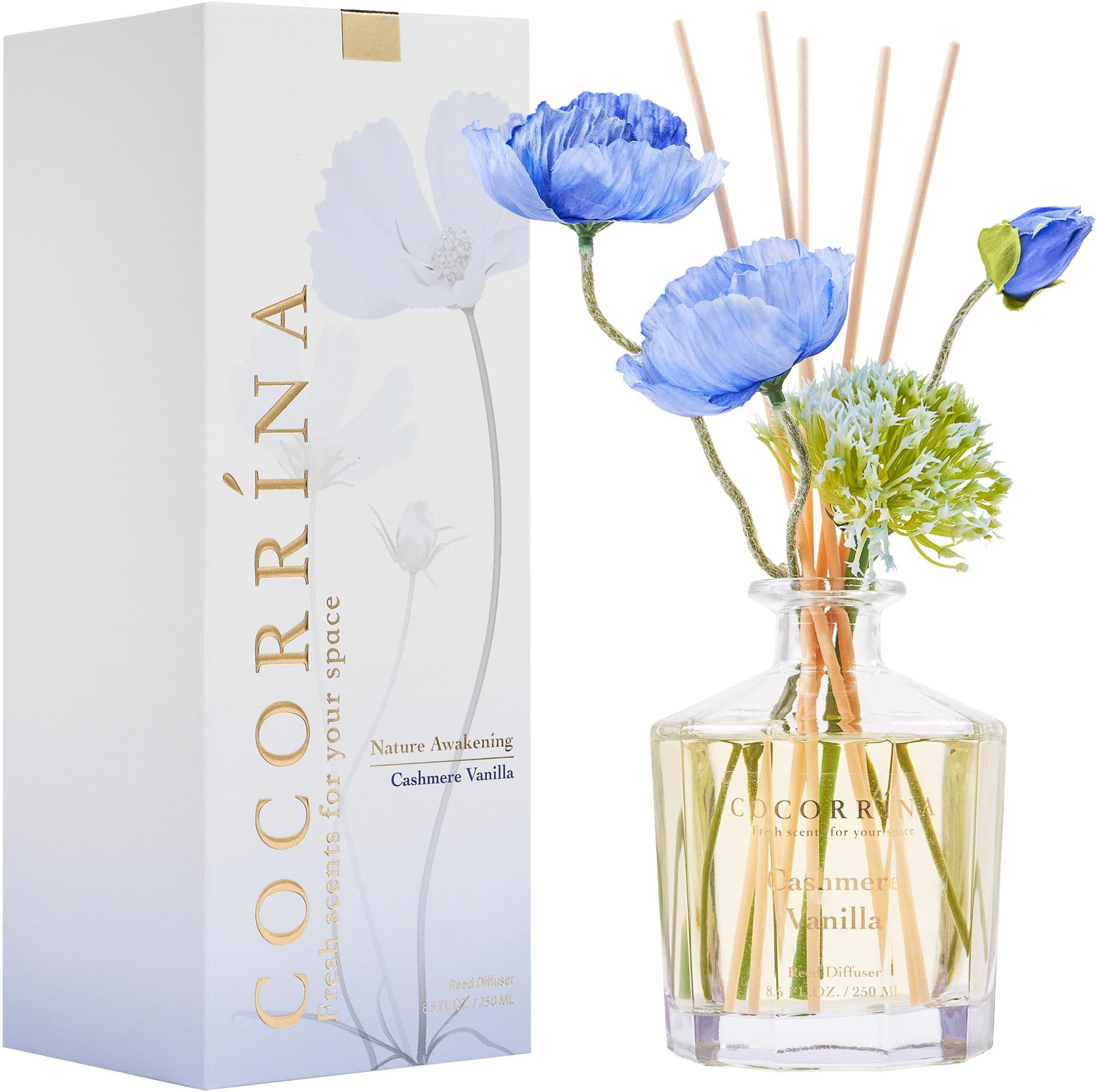 Amazon.com: Field + Fleur by Hillhouse Naturals Reed Diffuser - Scented ...