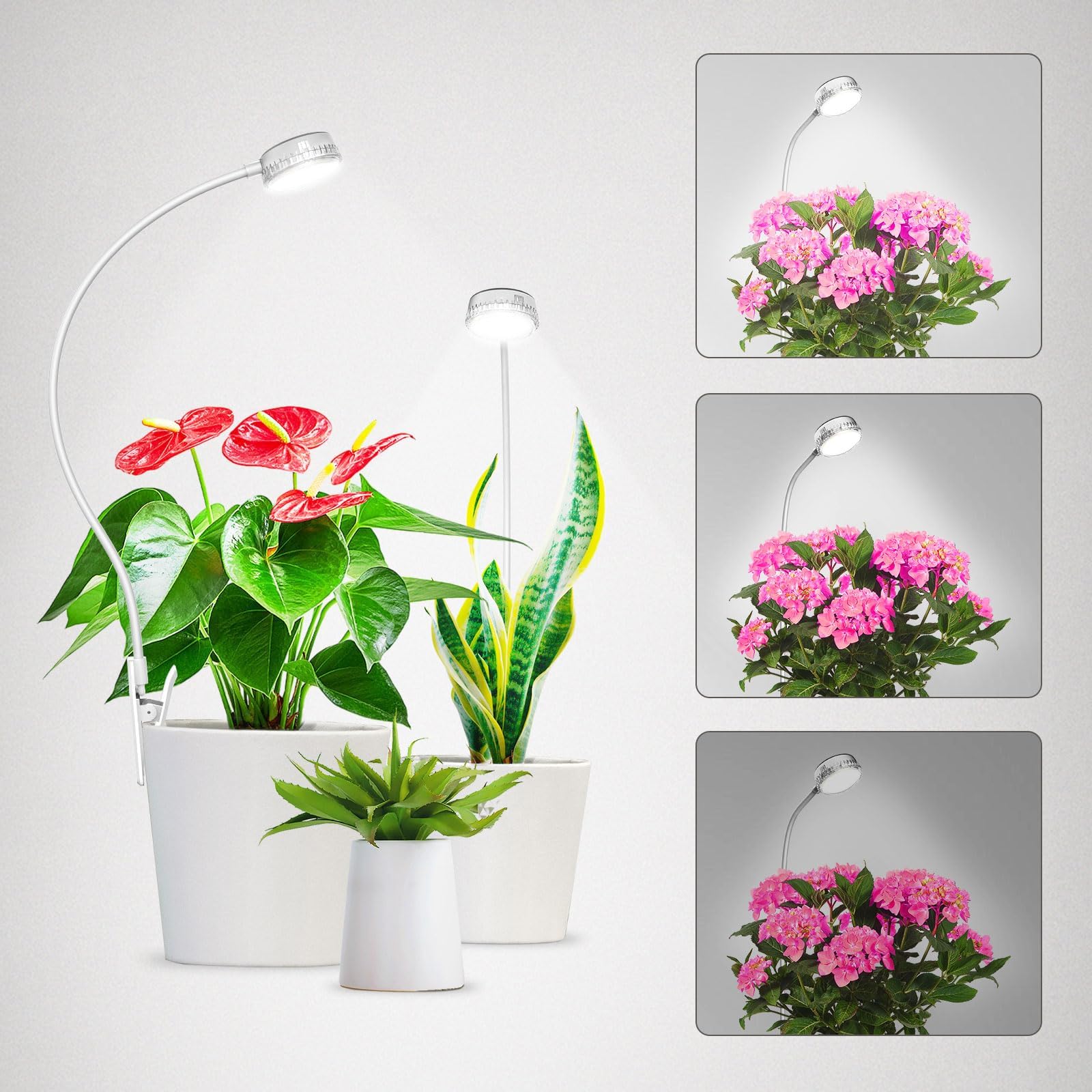 Amazon.com: SGLEDs Grow Lights for Indoor Plants, Clip On Grow Light ...