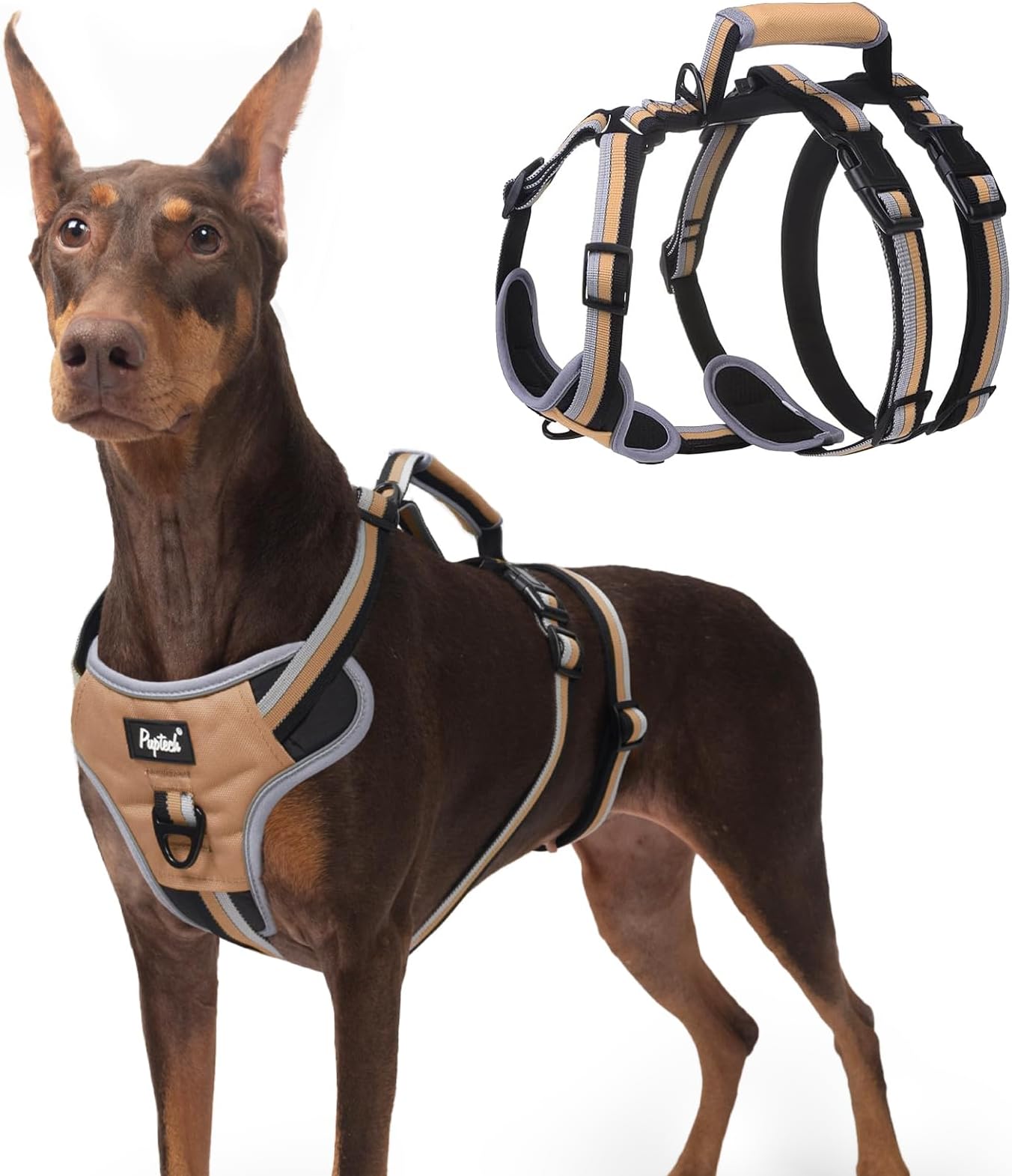 Amazon.com : 3-Point Anti-Escape, Anti-Pull Harness - Ideal for ...