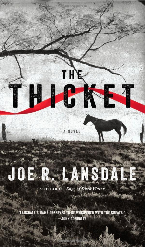Amazon.com: The Thicket: 9780316188456: Lansdale, Joe R.: Books