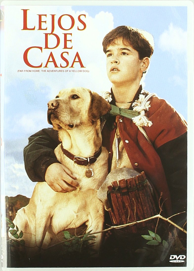 Lejos De Casa [DVD]: Amazon.es: Mimi Rogers, Bruce Davison, Jesse ...