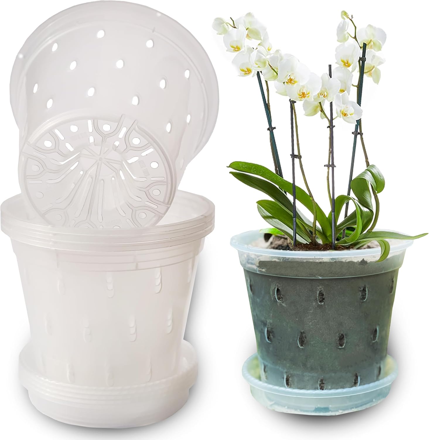 Amazon.com: 6.7 Inch Plastic Orchid Pots for Repotting with Saucers, 4 ...