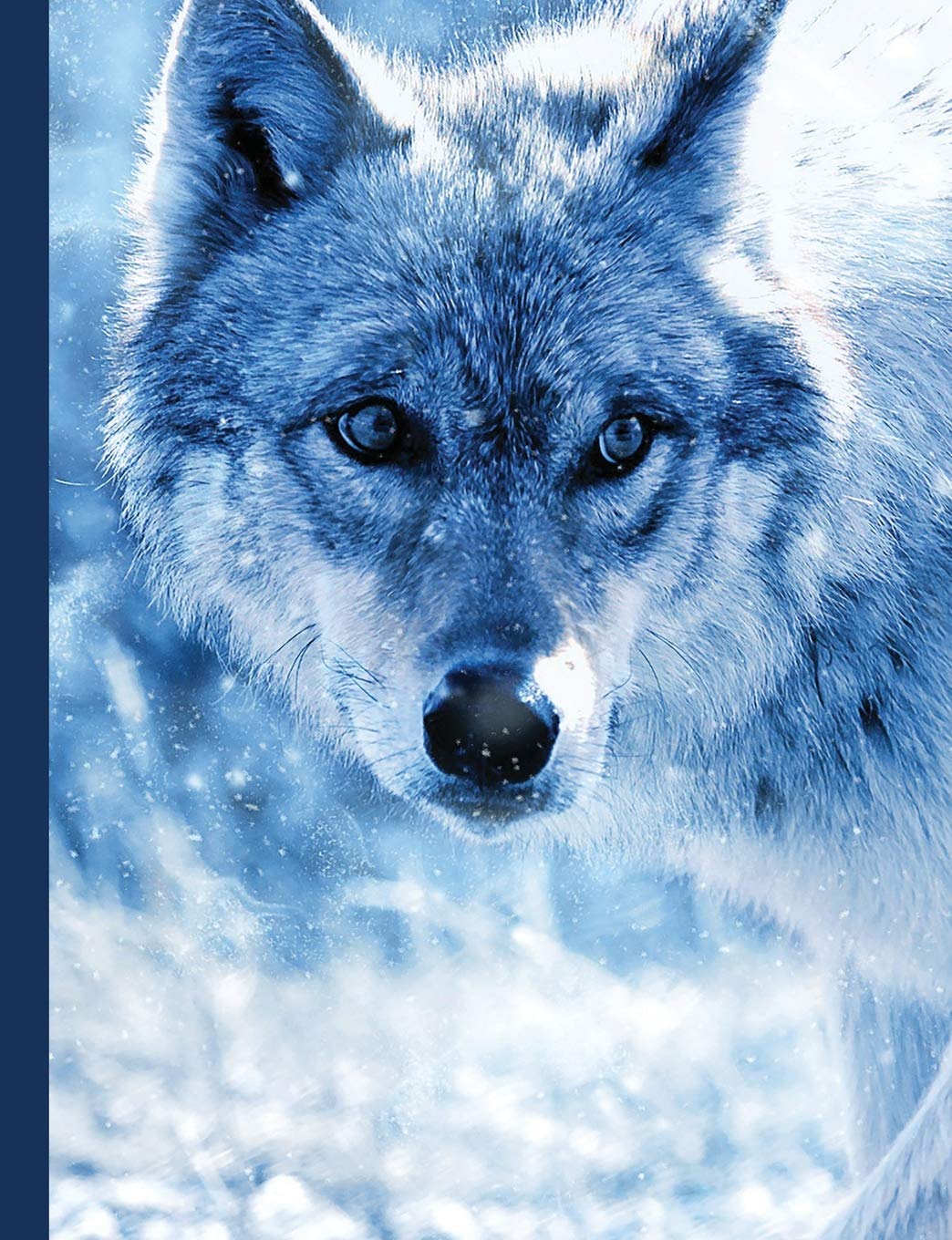Amazon.com: Blue Winter Wolf Composition Notebook, Wide Ruled: Lined ...