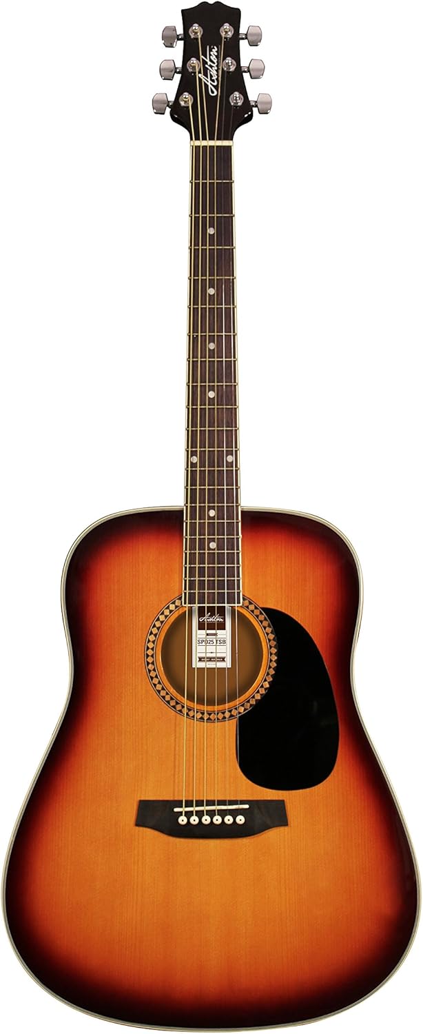 Amazon.com: Ashton SPD25TSB Acoustic Guitar Starter Pack : Musical ...