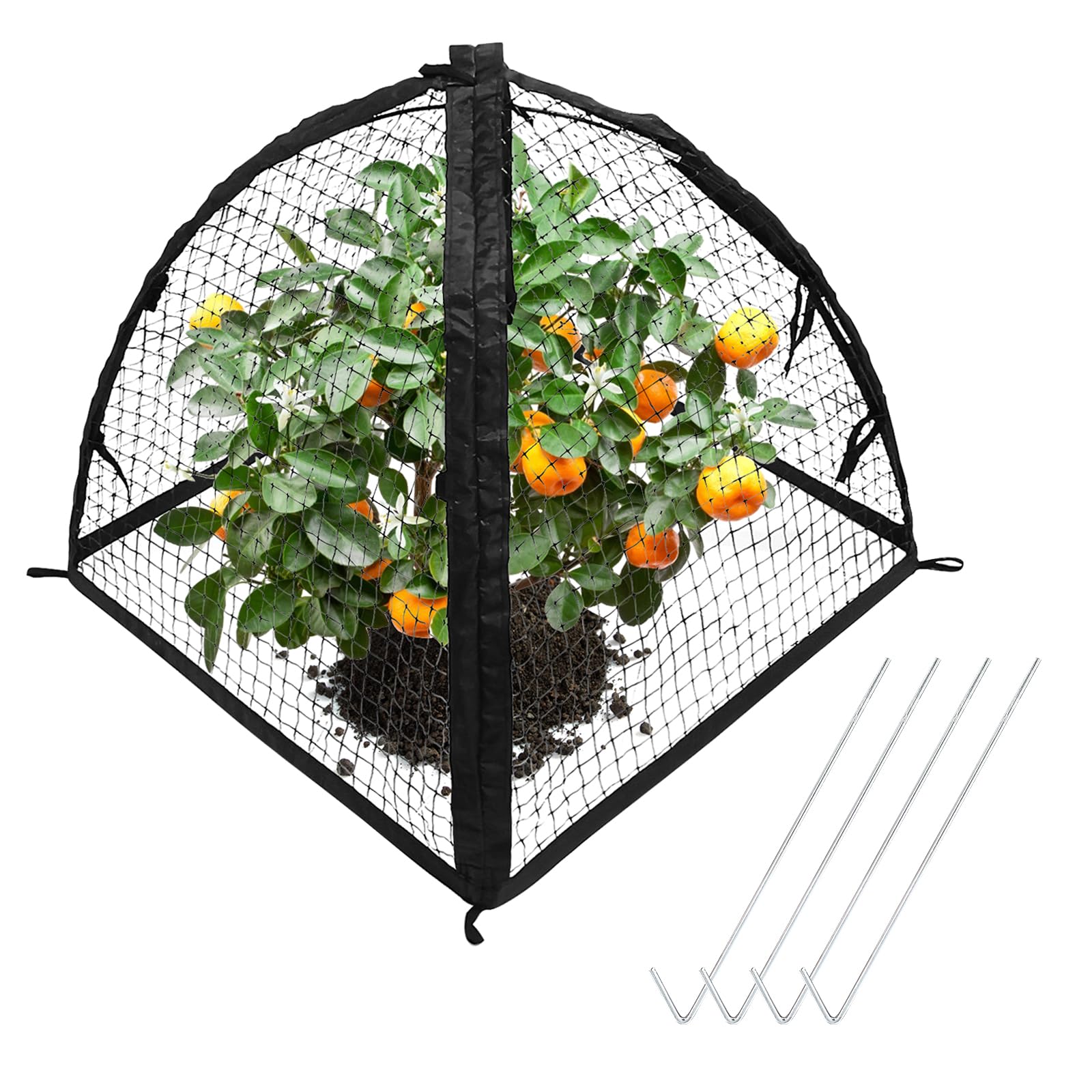 Amazon.com : Strawberry Plant Protector,22 x22 x 22 Inch Cloche Dome ...