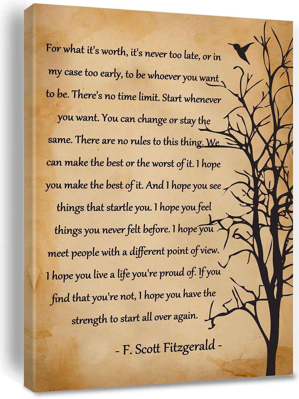 Amazon.com: Inspirational Canvas Wall Art Motivational Quote, F Scott ...