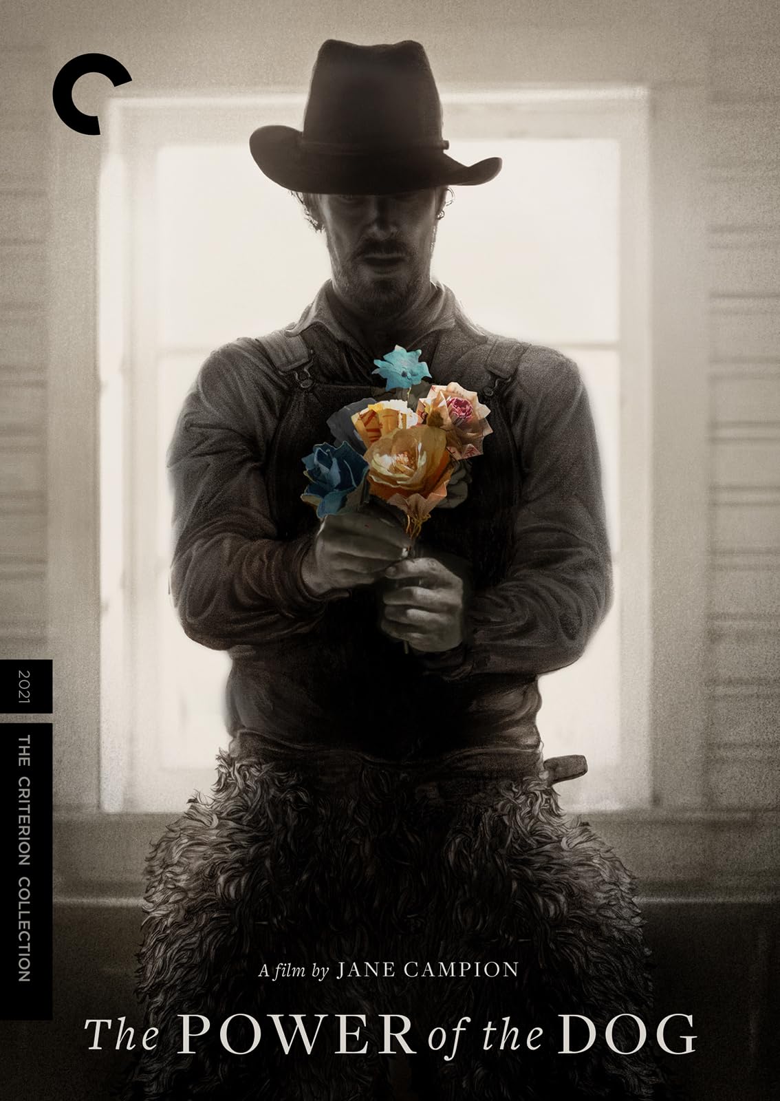 Amazon.com: The Power of the Dog (The Criterion Collection) [DVD ...