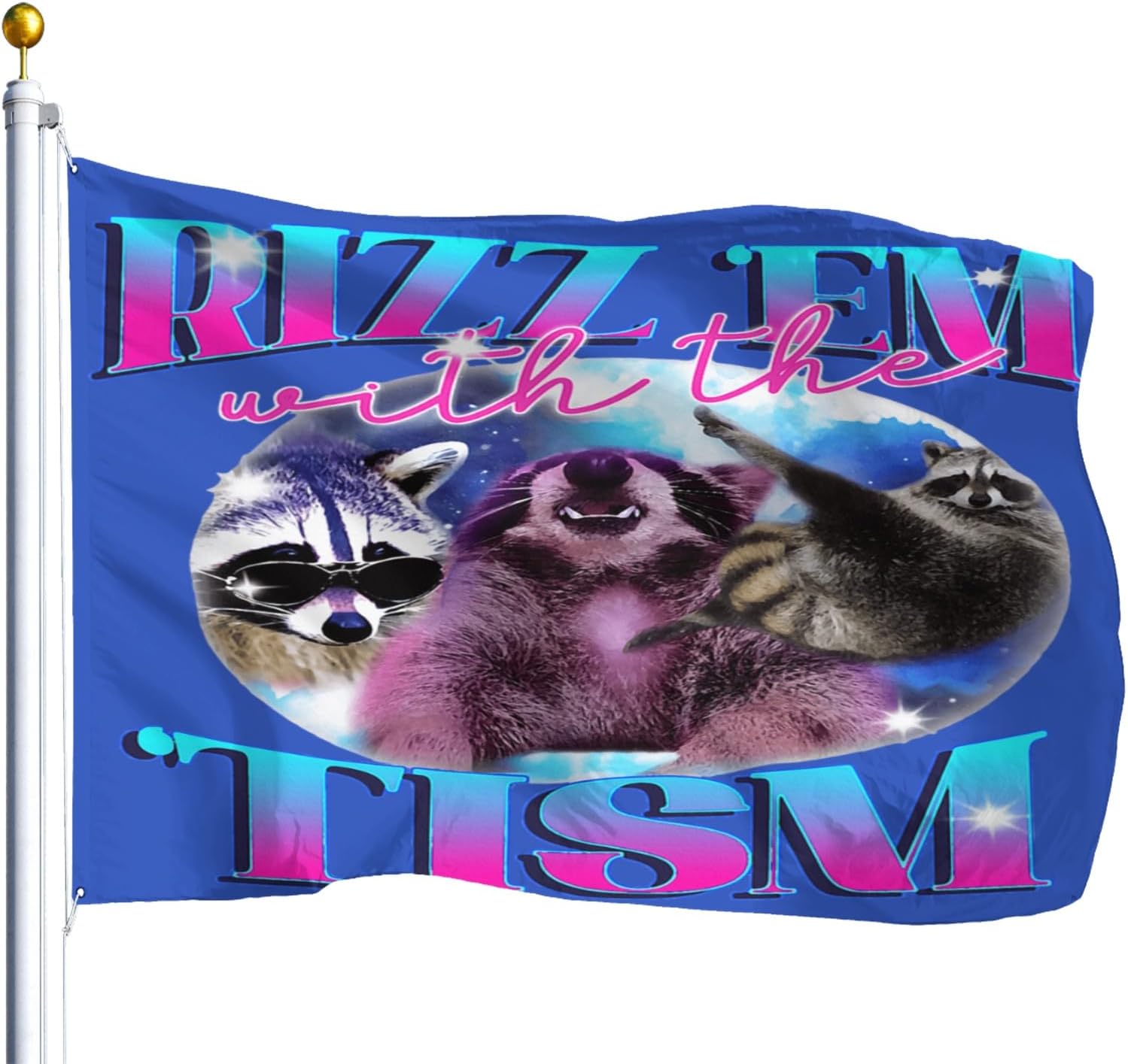Amazon.com : Ri Em With The Tism Meme Autistic Raccoon Funny Flags 3x5 ...