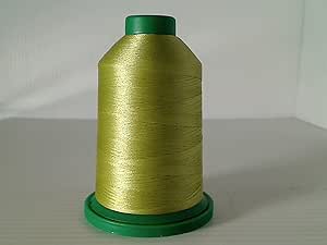 Amazon.com: Isacord Embroidery Thread 1000M 40W POLY 0232 : Arts ...