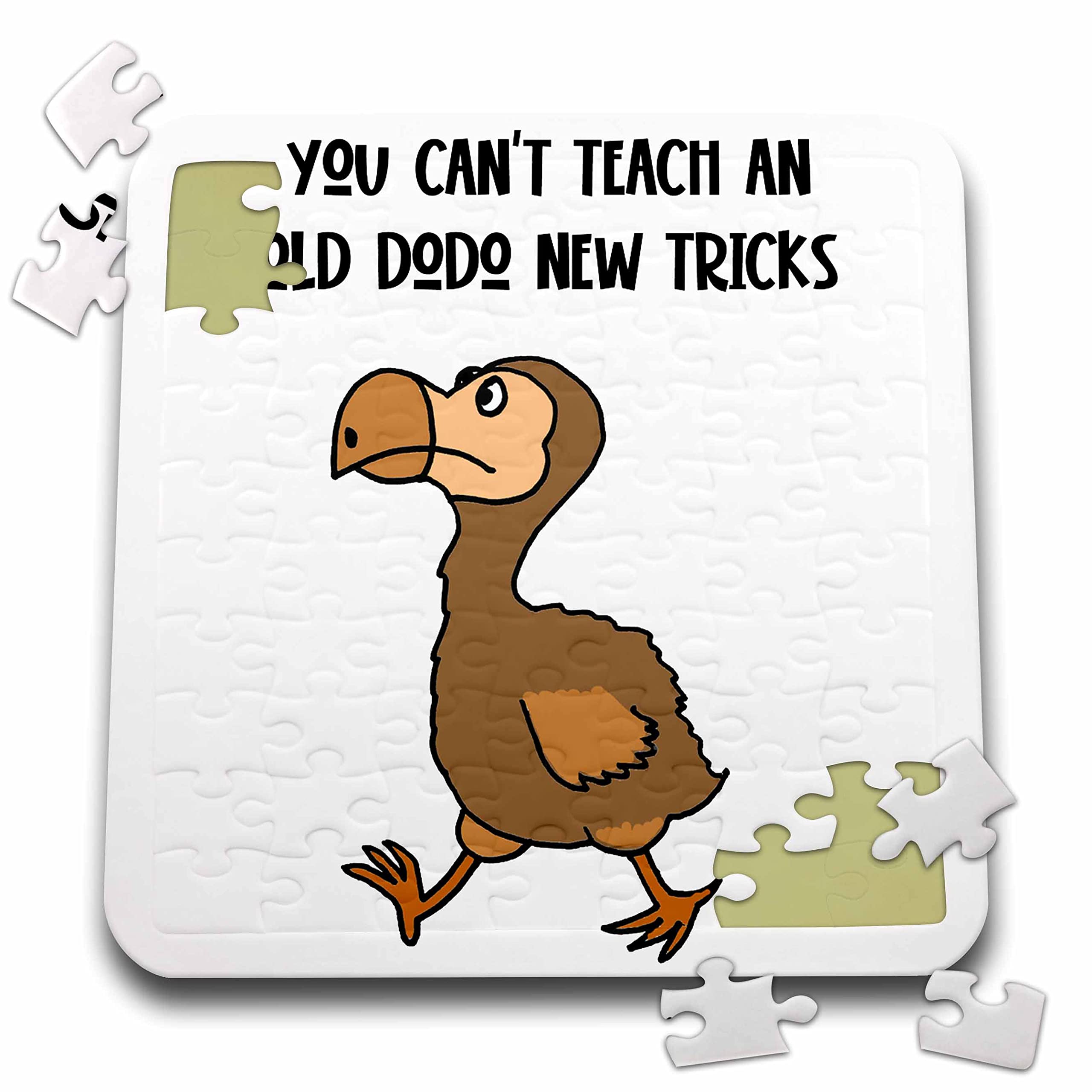 Dodo Bird Memes