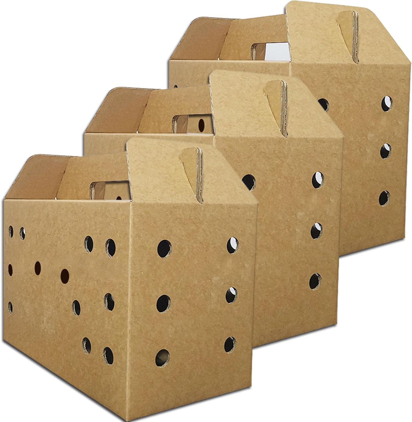 Amazon.com : Pet Cardboard Carrier Travel Box - for Small Animals Cat ...