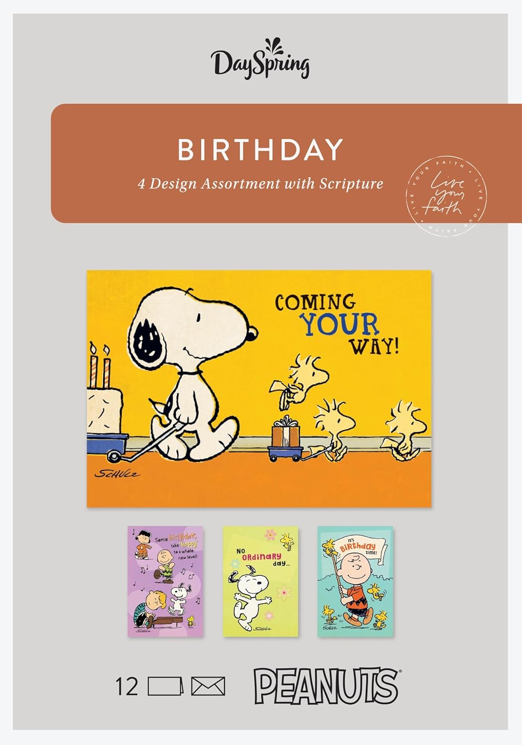 DaySpring "Peanuts Happy Birthday Inspirational" Boxed Card - 86067 ...