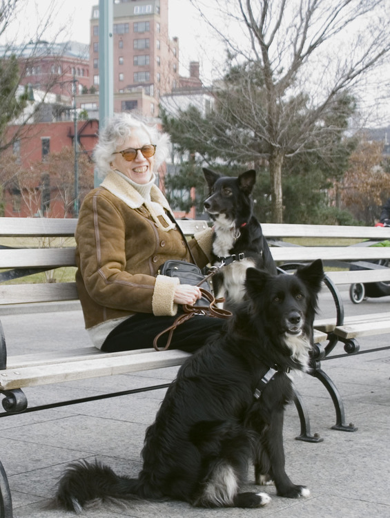 Amazon.co.uk: Carol Lea Benjamin: books, biography, latest update