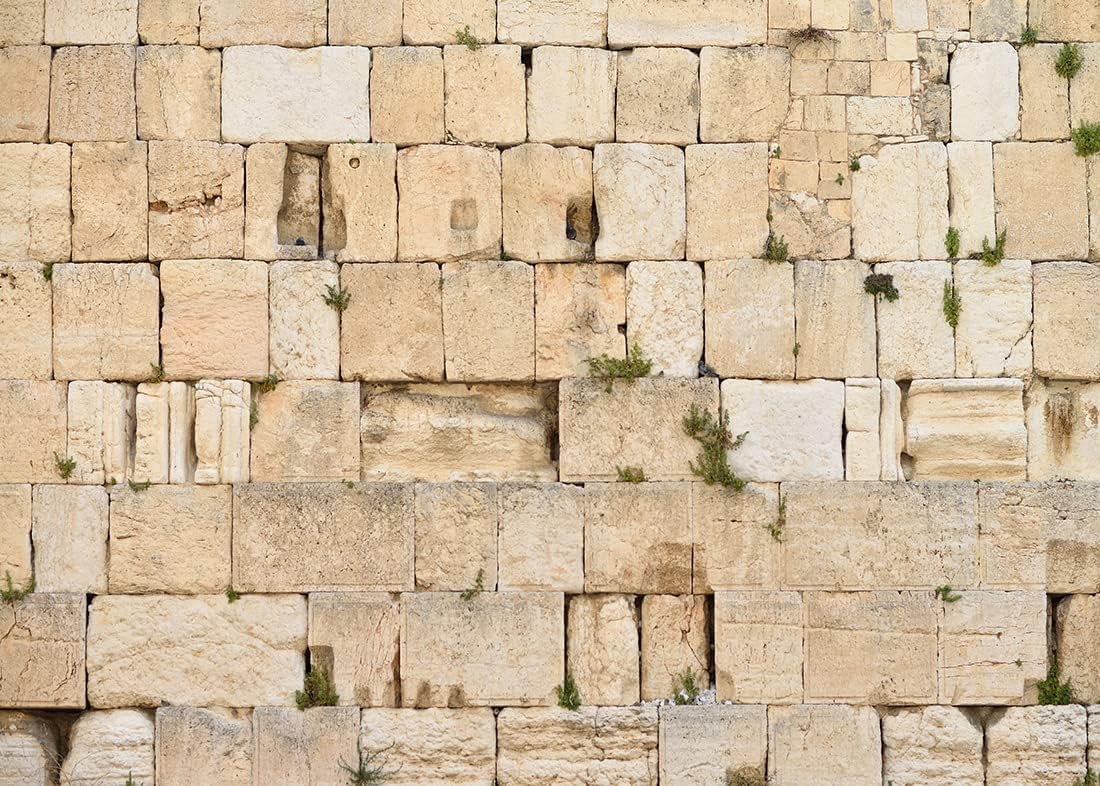Amazon.com : BELECO 7x5ft Fabric Western Wall Backdrop Jerusalem ...