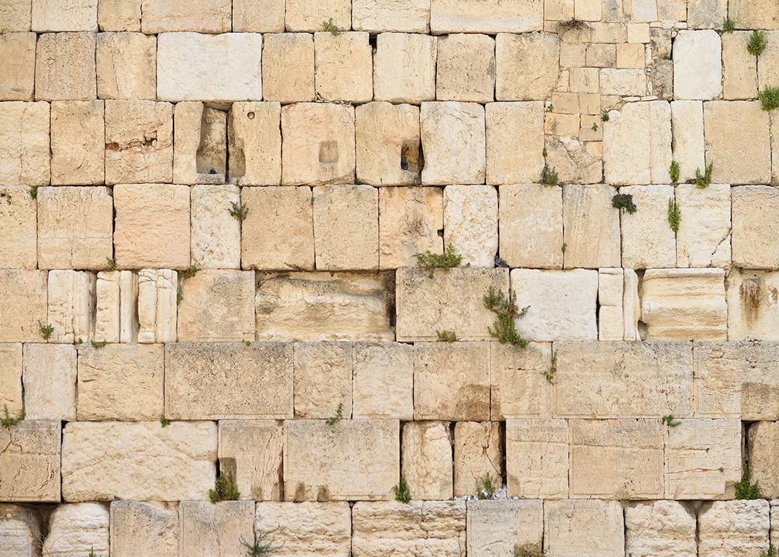 Amazon.com : BELECO 9x6ft Fabric Western Wall Backdrop Jerusalem ...