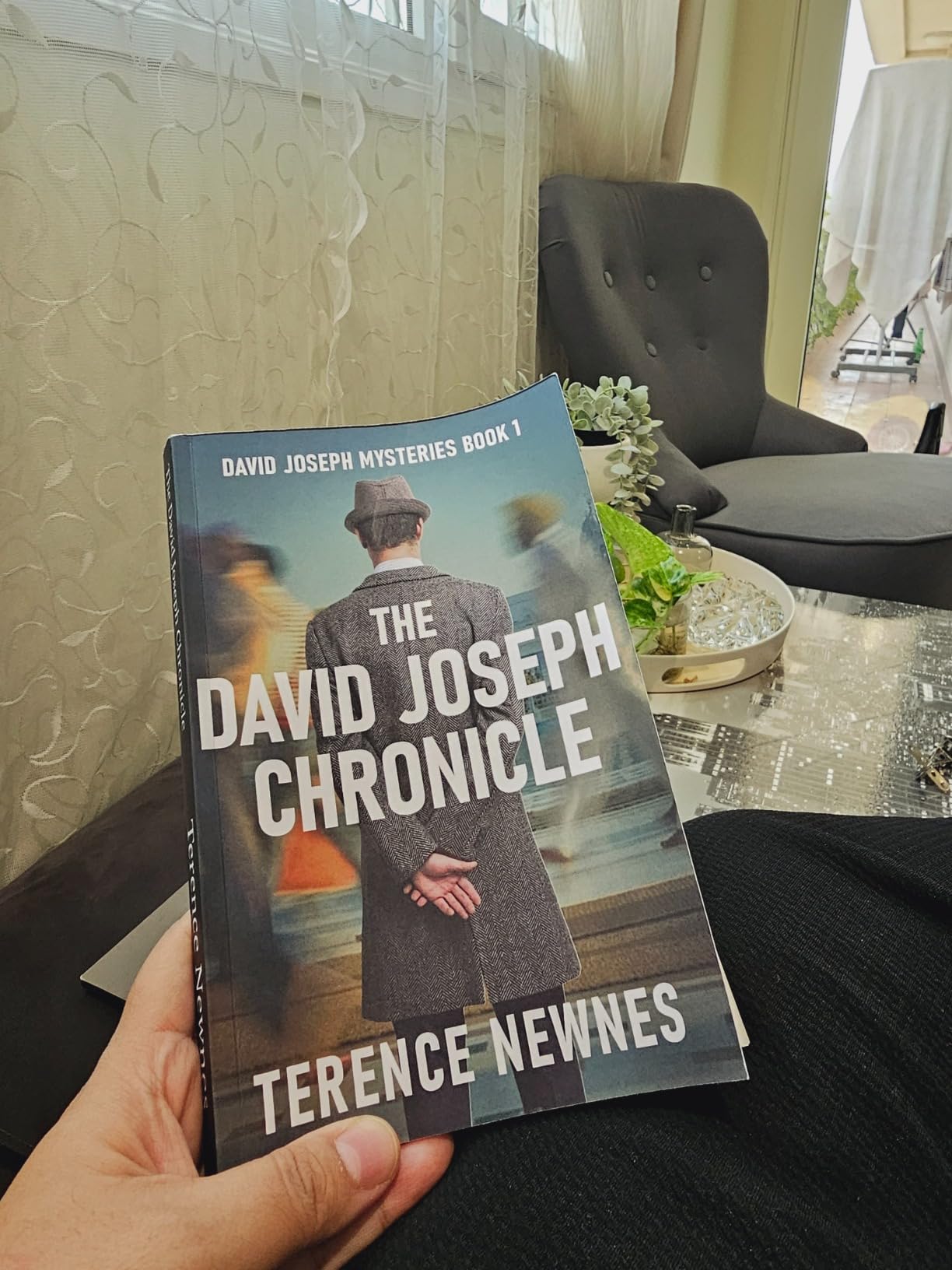 The David Joseph Chronicle (David Joseph Mysteries Book 1) eBook ...