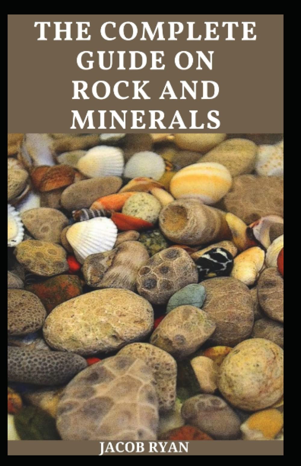 Buy THE COMPLETE GUIDE ON ROCK AND MINERALS : The Complete And ...