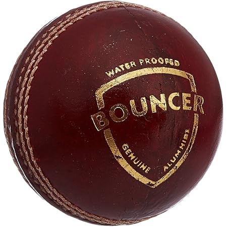 SG Leather Cricket Ball Tournament Special Red 4 Pc Water Proof ...