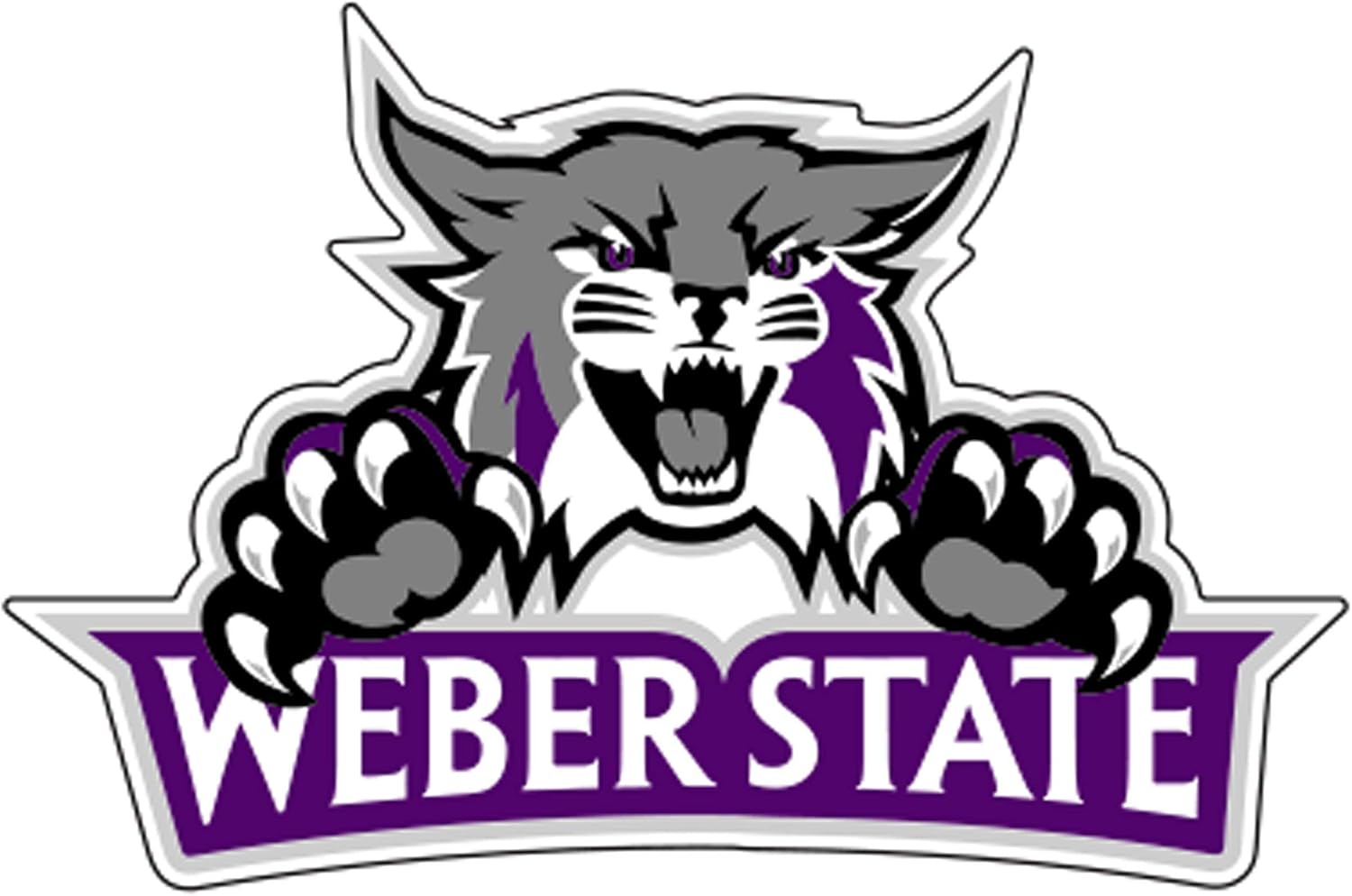 Amazon.com: Weber State Decal (WEBER STATE CAT PAW DECAL (3''4''6''12 ...