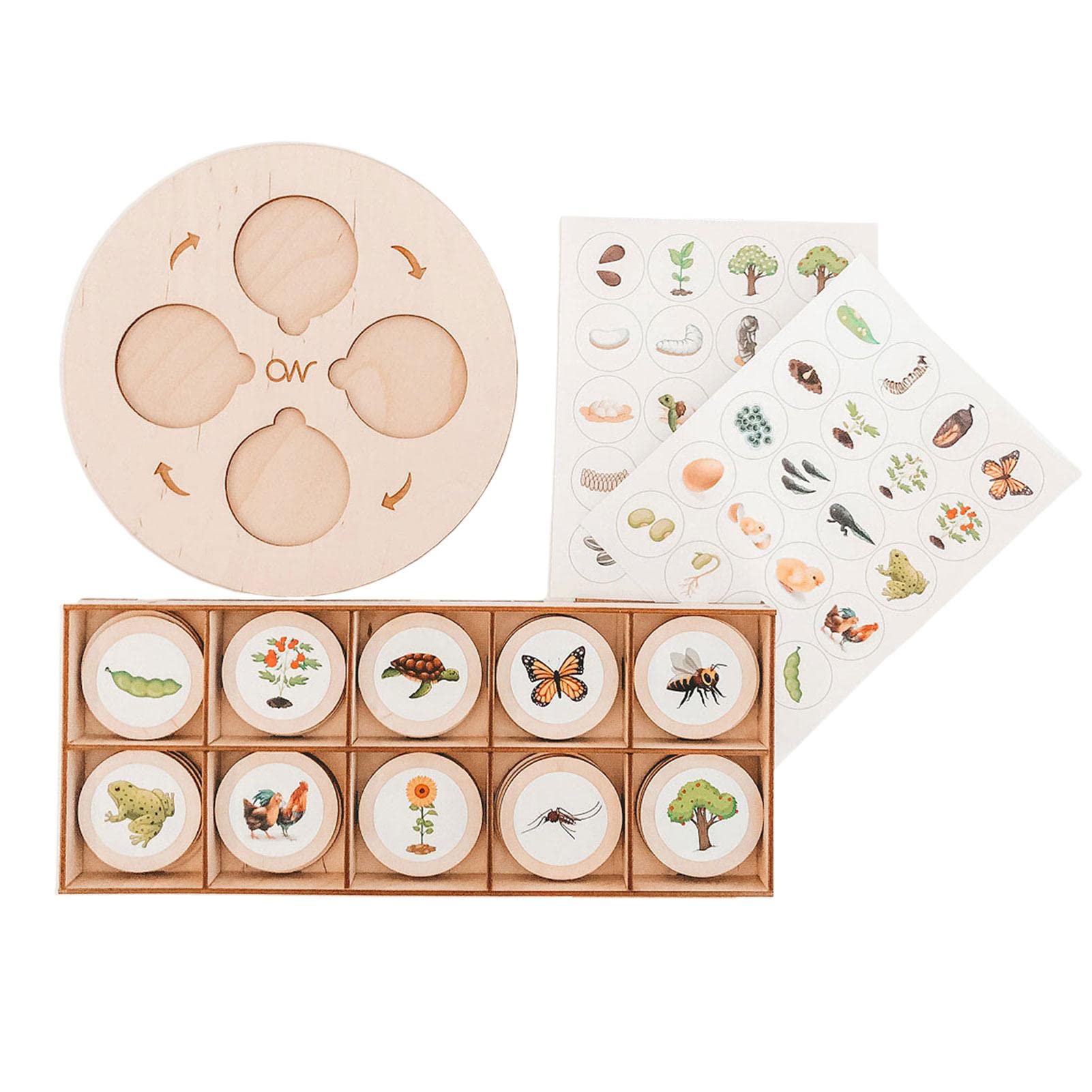 Regine Life Cycle Puzzle Kit Children Montessori Life Cycle Tray ...