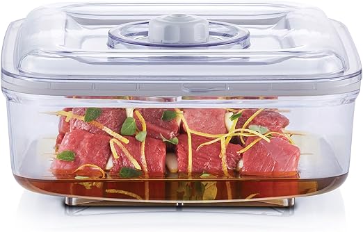 Amazon.com: FoodSaver Vacuum Seal Quick Marinator, 2.25 Quarts - T02 ...