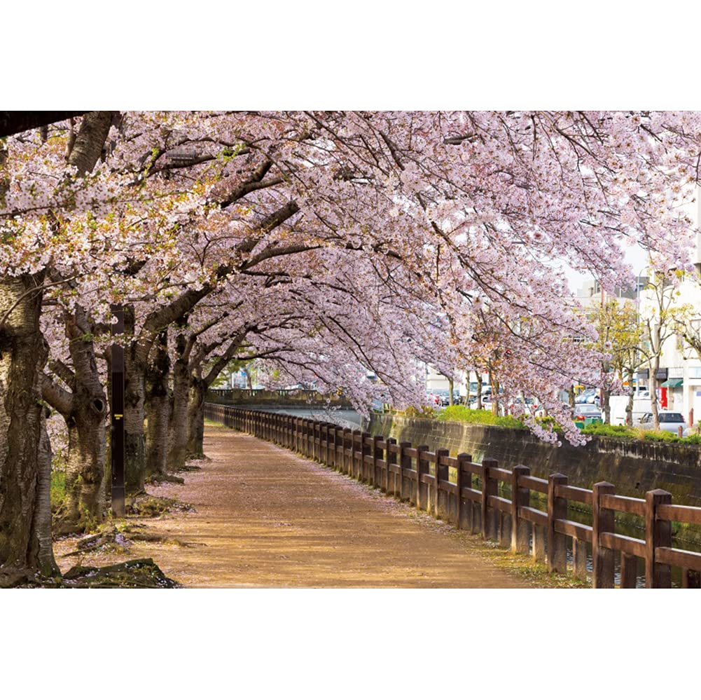Japanese Flowers Background
