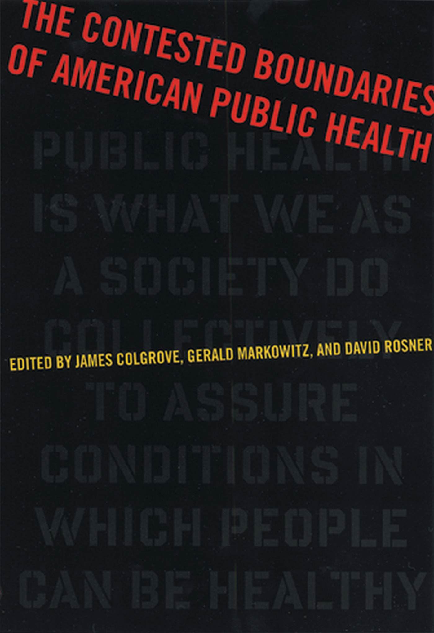 The Contested Boundaries of American Public Health (Critical Issues in ...