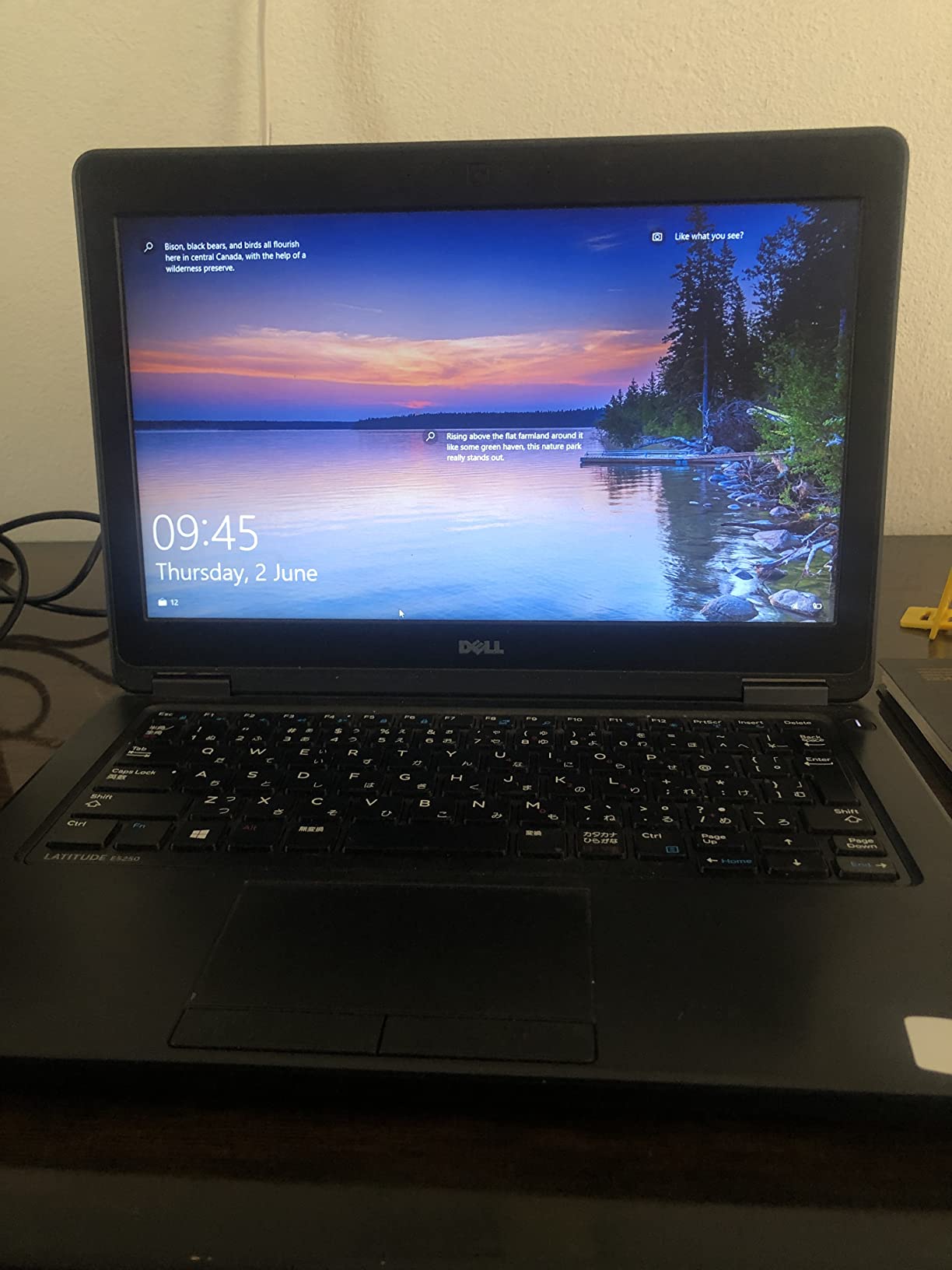 (Renewed) Dell Latitude Intel 5th Gen Core i5 12-Inch (30.48 cms ...