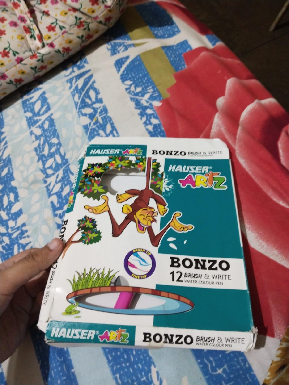 Hauser Art Bonzo 12 Brush & Write Nib Water Color Pens | Dual Nib 24 ...