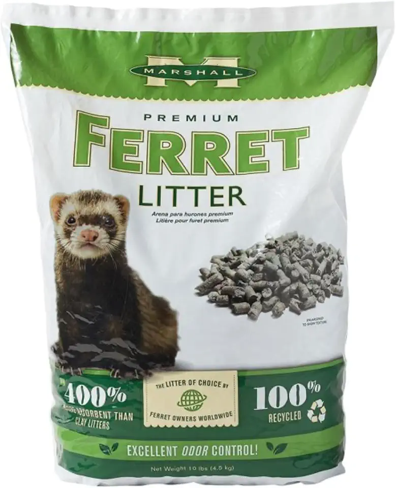 The Price Breakdown: How Much Does A Ferret Cost At Petco? | PetShun