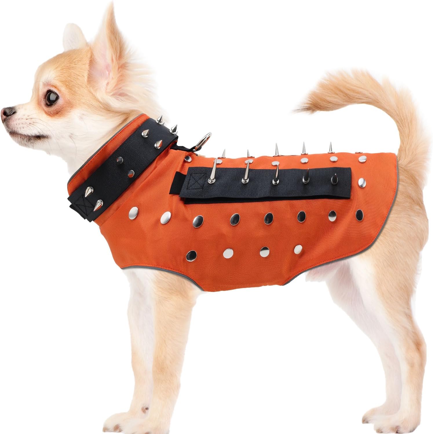 Amazon.com : Spike Dog Vest for Small Medium Dogs, All Seasons ...