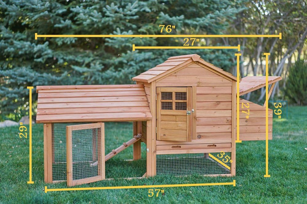 Amazon.com : Saloon Backyard Chicken Coop for 2-4 Laying Hens DIY Hen ...