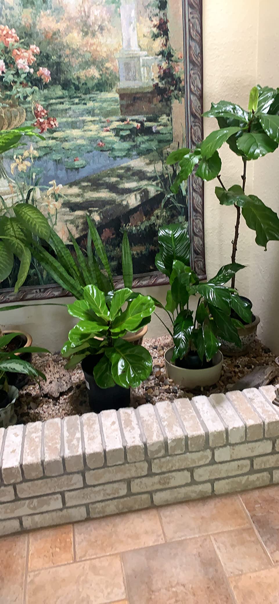 Amazon.com : Green-Glo Plant Polish 13 oz (Pack of 3) - 20 fl oz ...