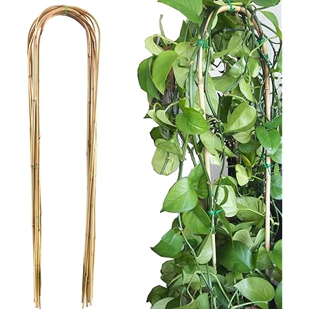Amazon.com : Avalution 10 Pcs Natural U-Hoops Bamboo Garden Trellis, 4 ...