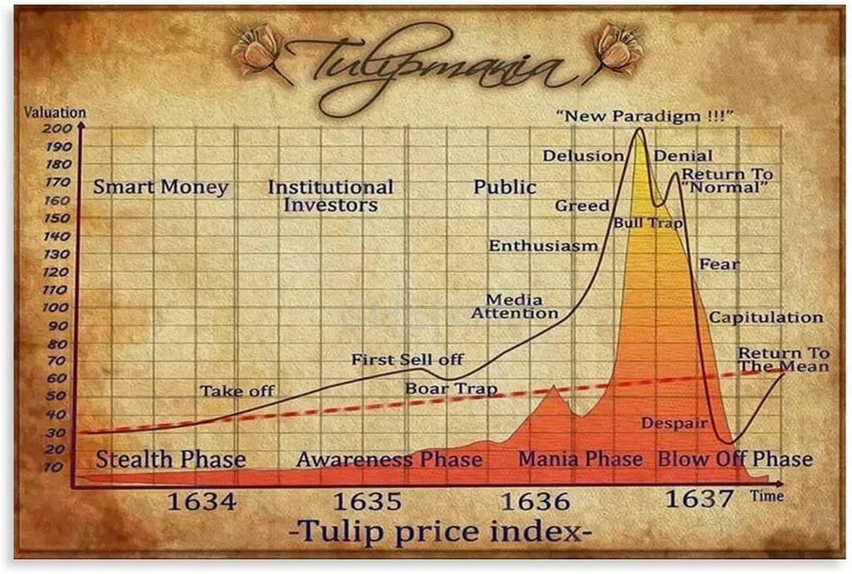 Amazon.com: Tulip Mania Infographic Poster Tulip Mania Event Poster 1 ...