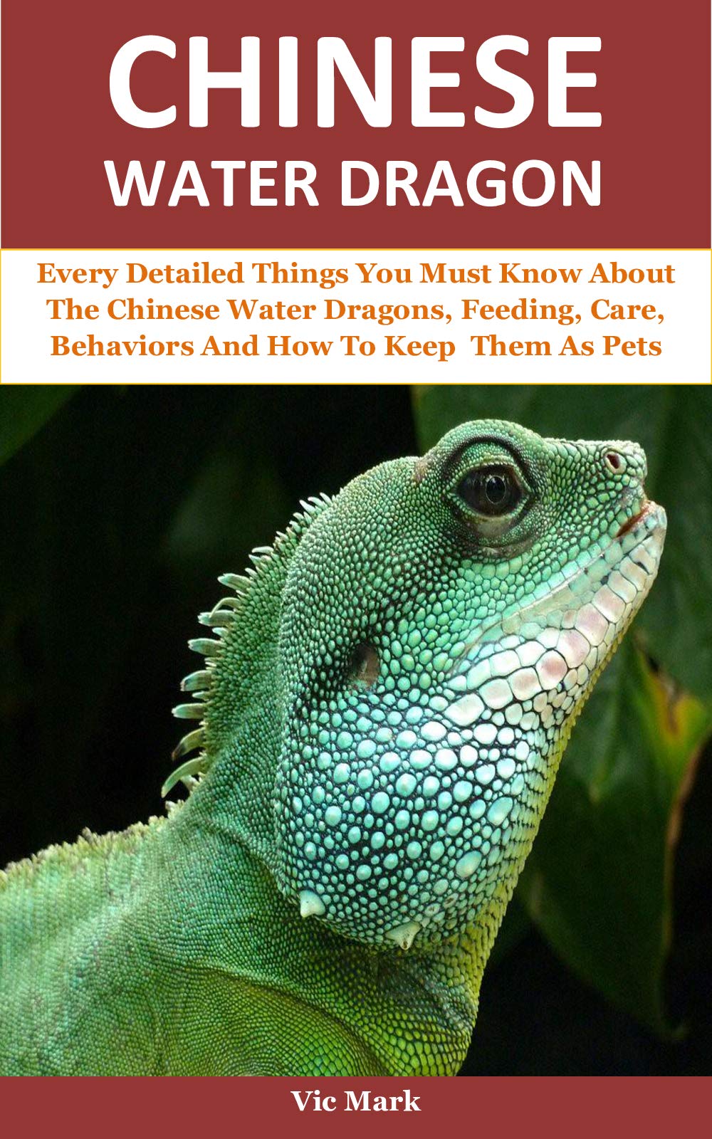 Buy Chinese Water Dragon: Every Detailed Things You Must Know About The ...