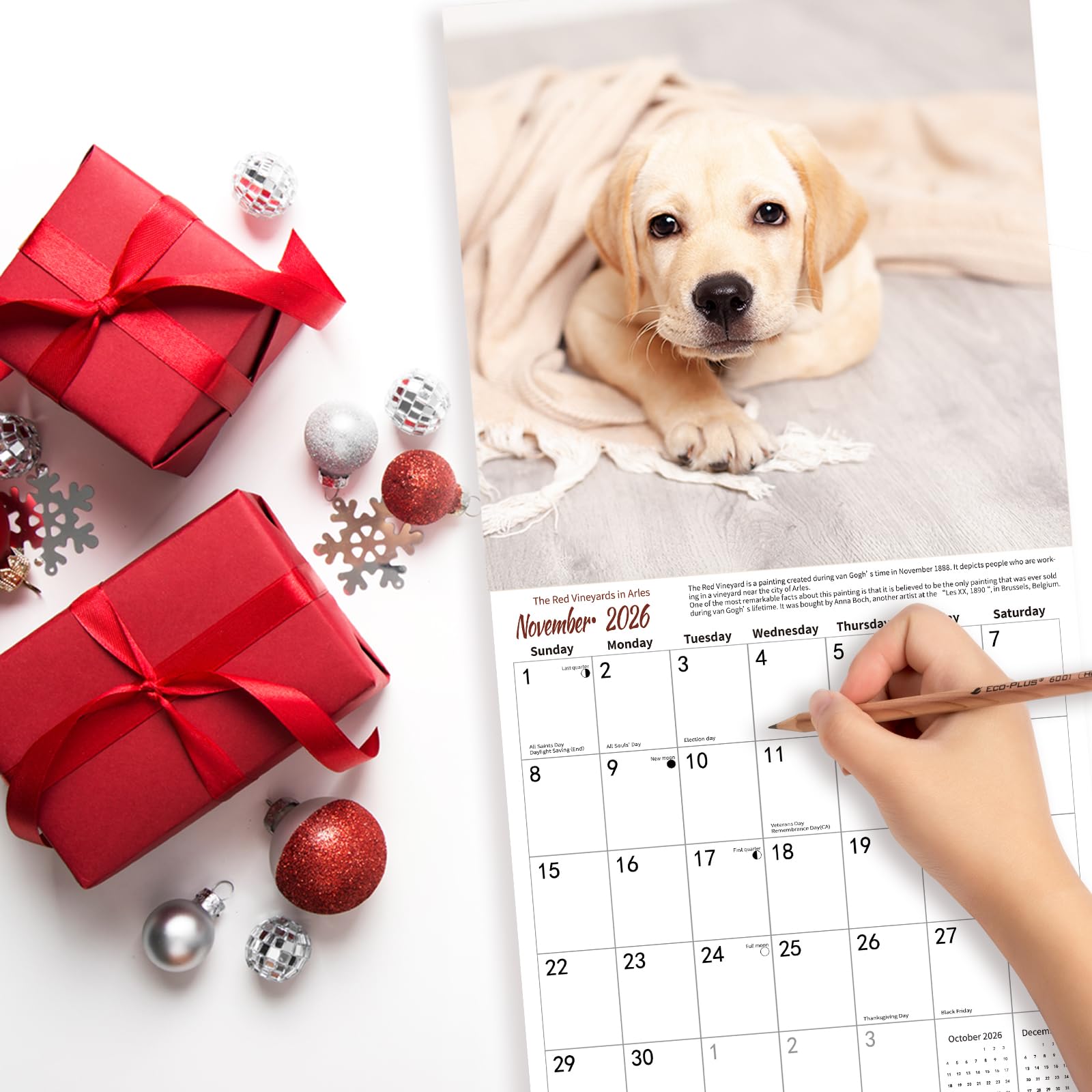 Snapklik.com : Lab Puppies 2026 Wall Calendar 12" X 24" Open Hangable ...
