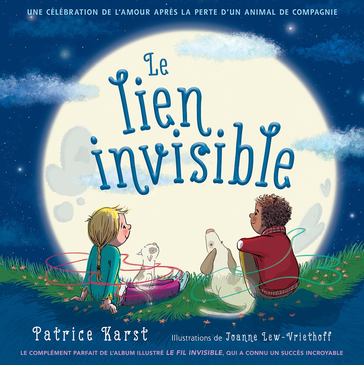 Le lien invisible: Karst, Patrice, Lew-Vriethoff, Joanne: 9781039701724 ...