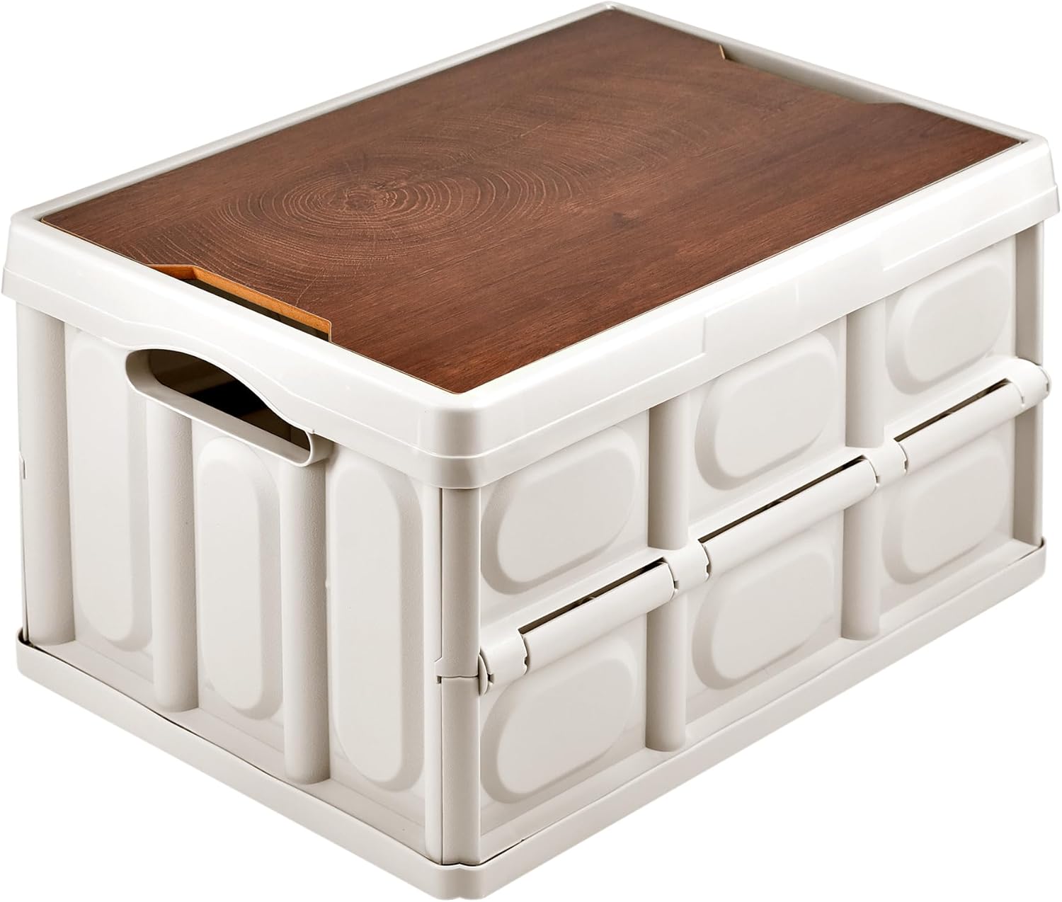 Amazon.com: Renook Foldable Storage Bin with Lid, 50L Collapsible ...