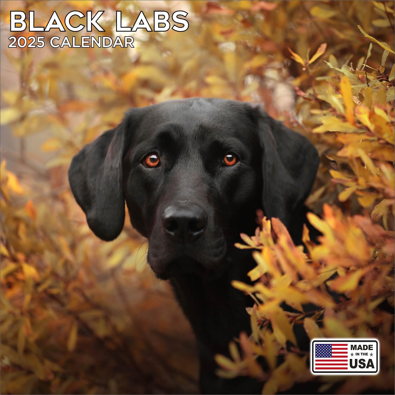 2025 Black Labrador Calendar - Dog Breed Wall Calendar - 12 x 24 Open ...