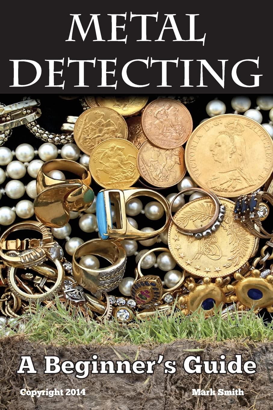 Metal Detecting: A Beginner's Guide: to Mastering the Greatest Hobby In ...