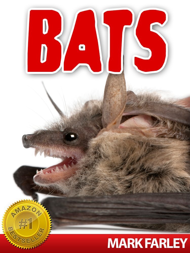 Bats! An Educational Children’s eBook About Earth’s Most Misunderstood ...