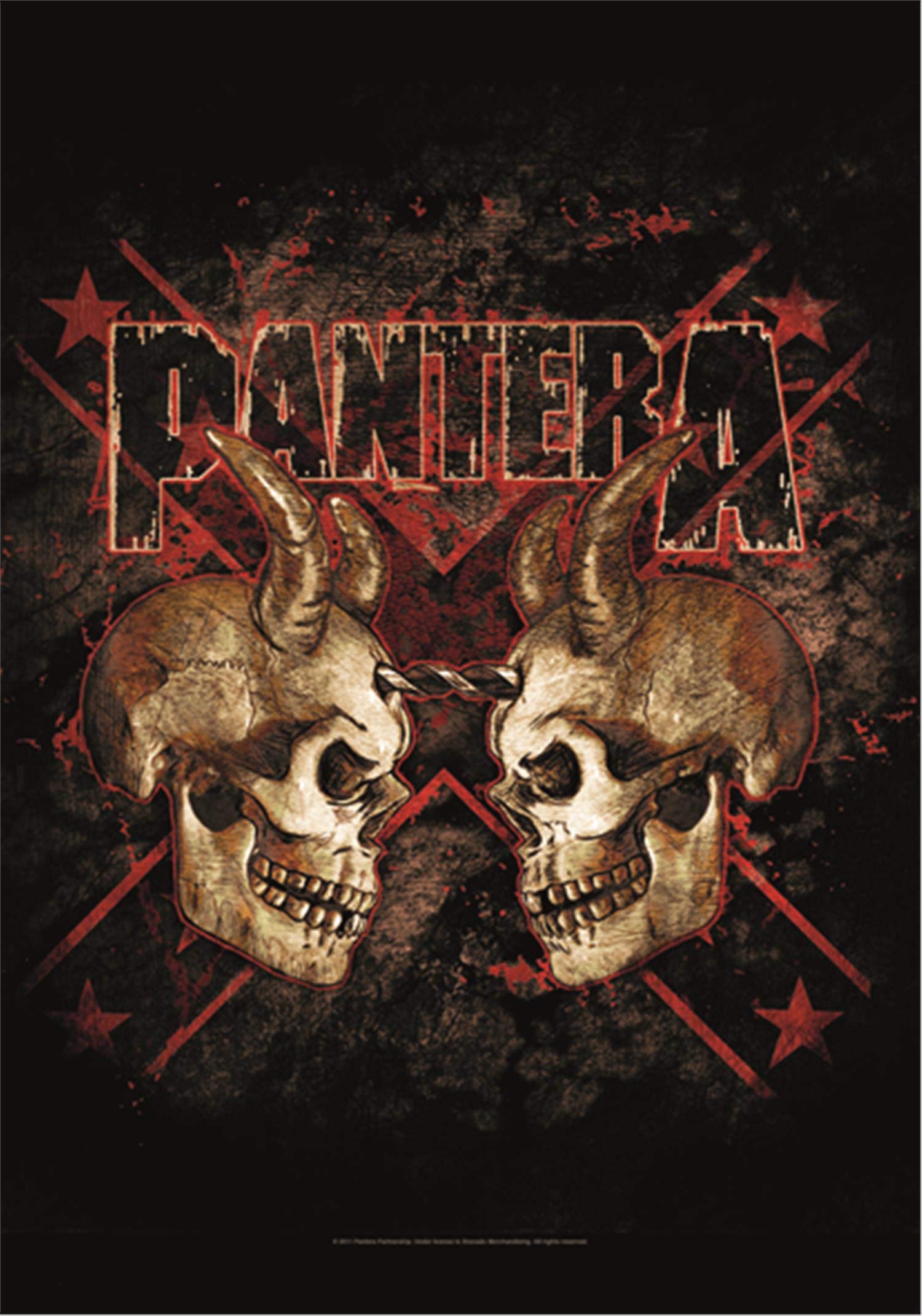 Pantera Skull Logo
