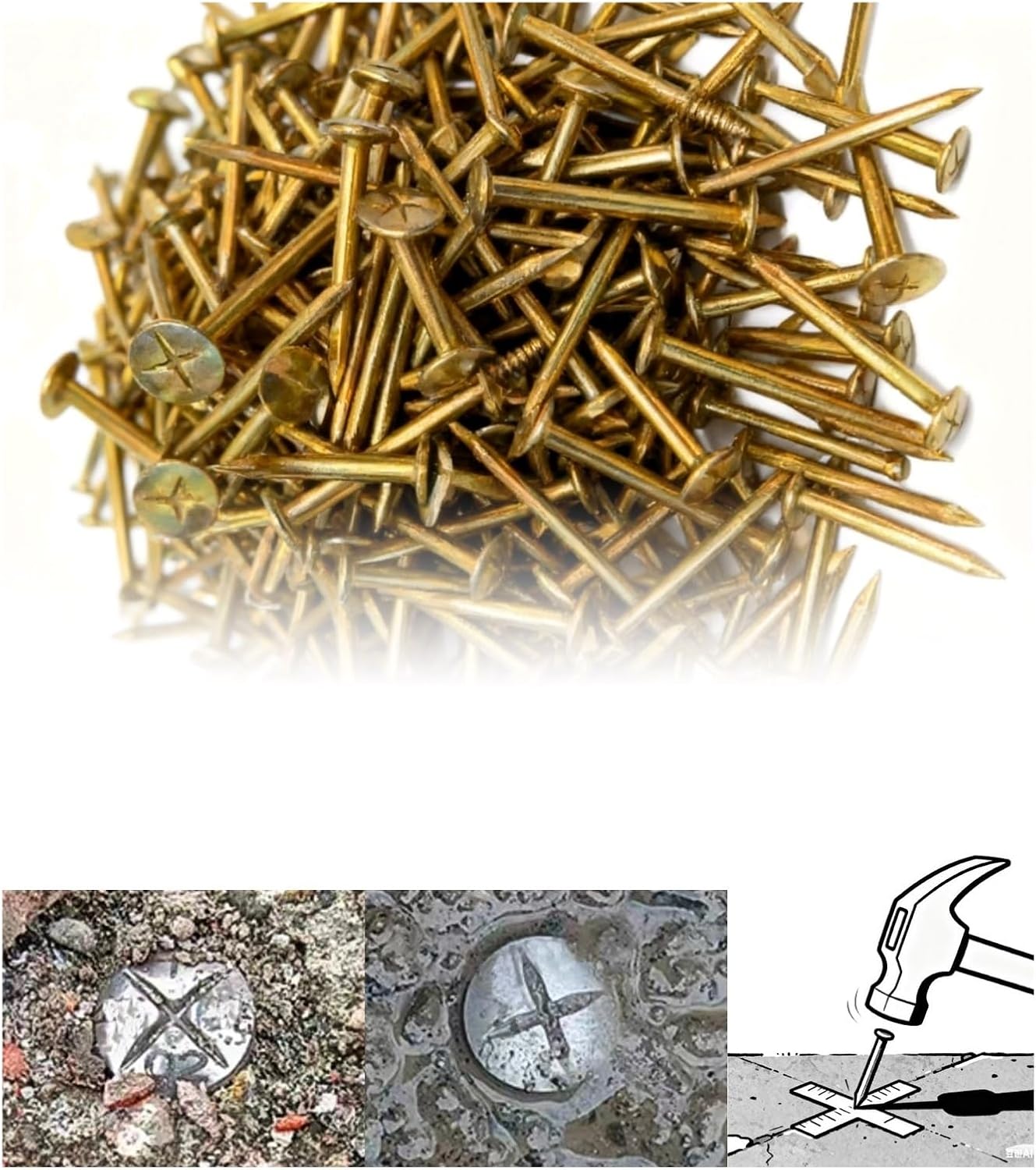Amazon.com : 100pcs 3cm 5cm 7cm 8cm 10cm Survey Markers Steel Nails ...