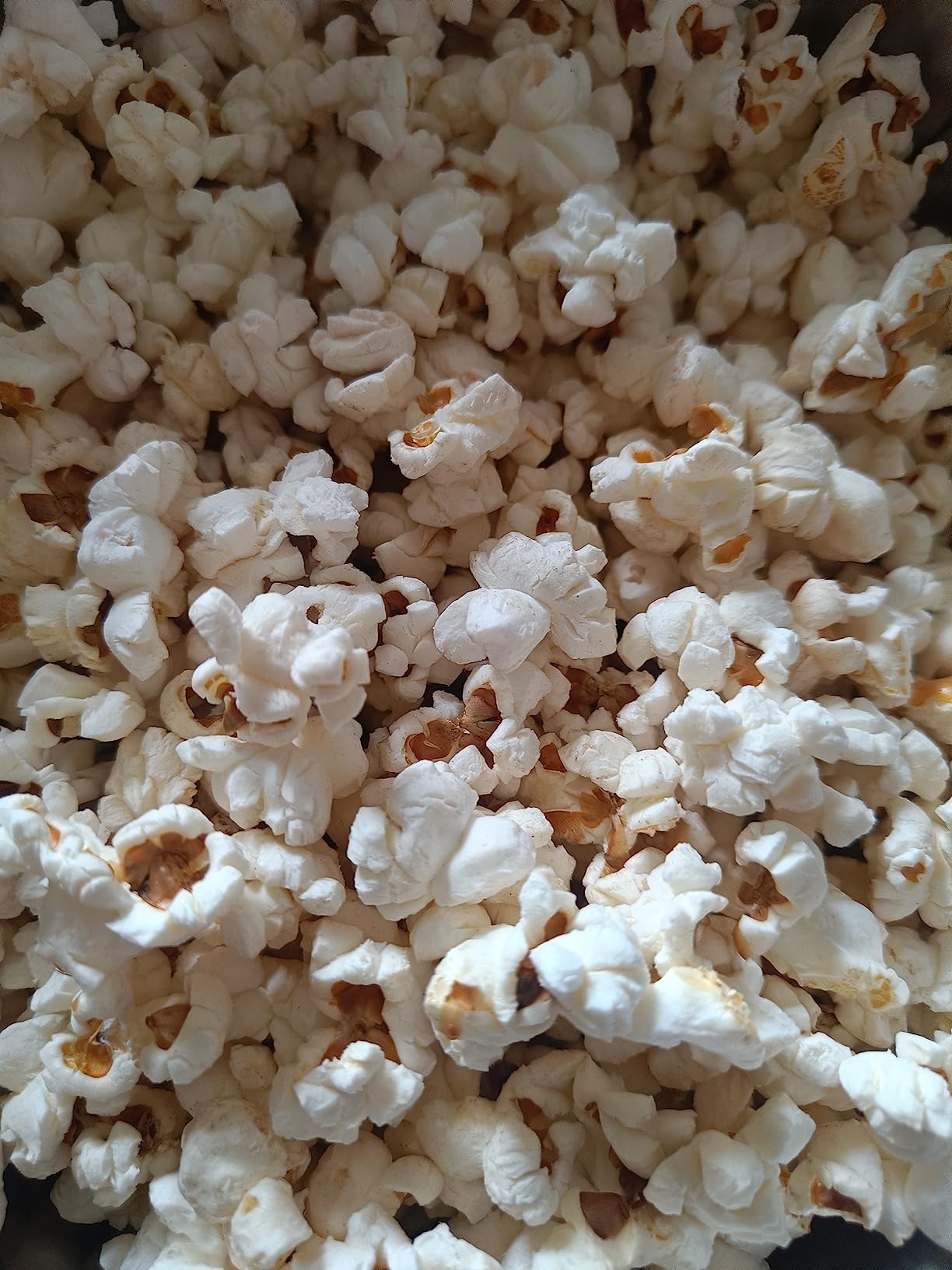 Indiana Pop Corn Big Size Kernels 800g : Amazon.in: Grocery & Gourmet Foods
