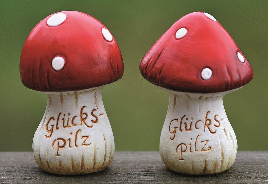 Deko Keramik PILZ Fliegenpilz GLÜCKSPILZ Set : Amazon.de: Sonstiges