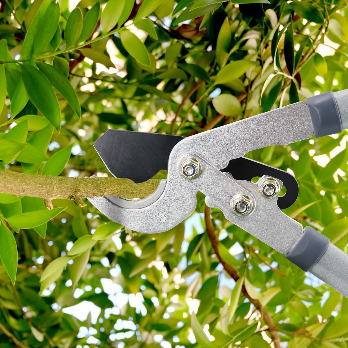 Garden Secateurs Generic 6.5 Inch Gardening Hand Pruner Pruning Shear ...