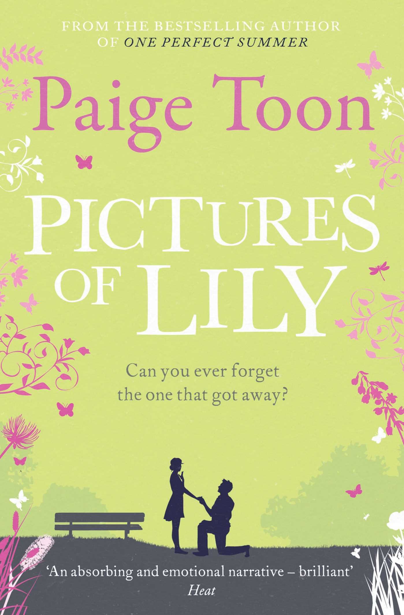 Pictures of Lily: Amazon.co.uk: Toon, Paige: 9781471129599: Books